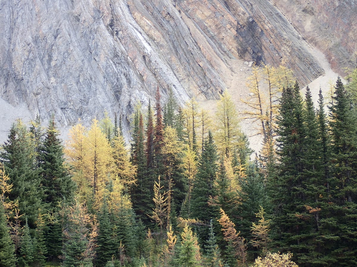 Weekly Report: April 15th - April 21st 2024